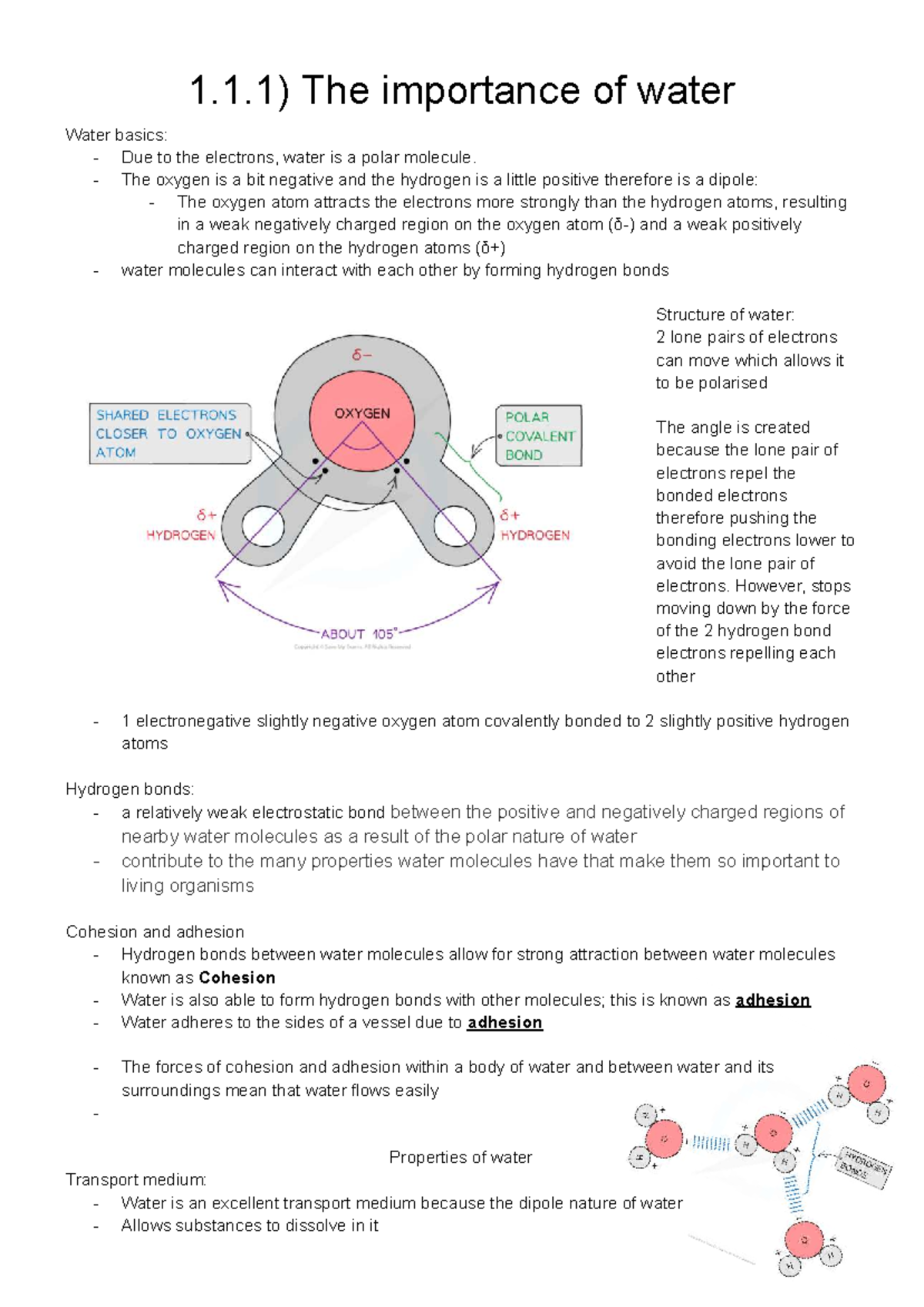 The Importance of Water: Understanding Its Polar Nature and Properties ...