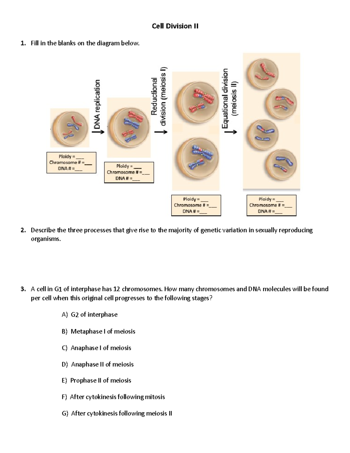 Cell Division II Handout - Fall 2022 Guide for Students - Studocu