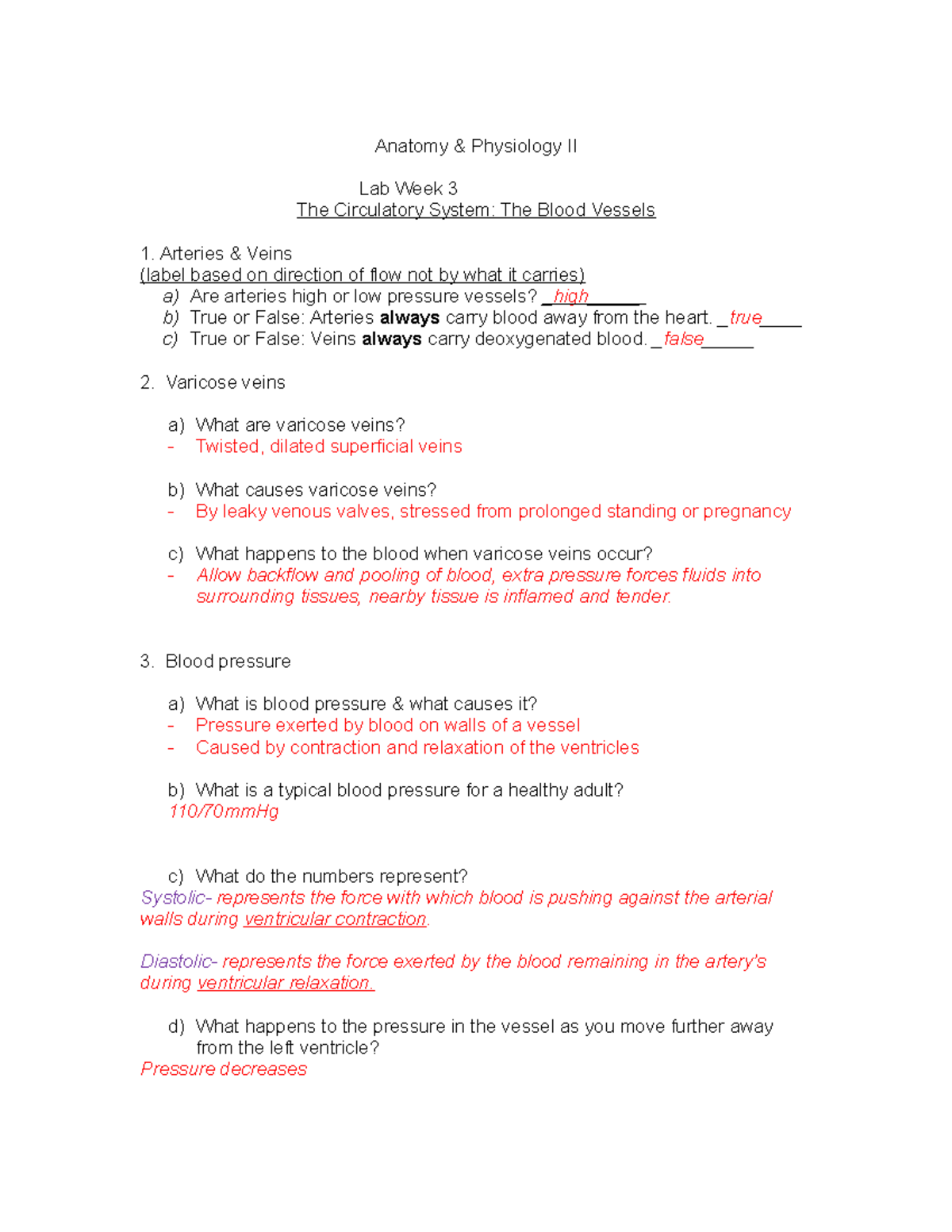 Anatomy & Physiology II Lab: Blood Vessels Assignment (Week 3) - Studocu