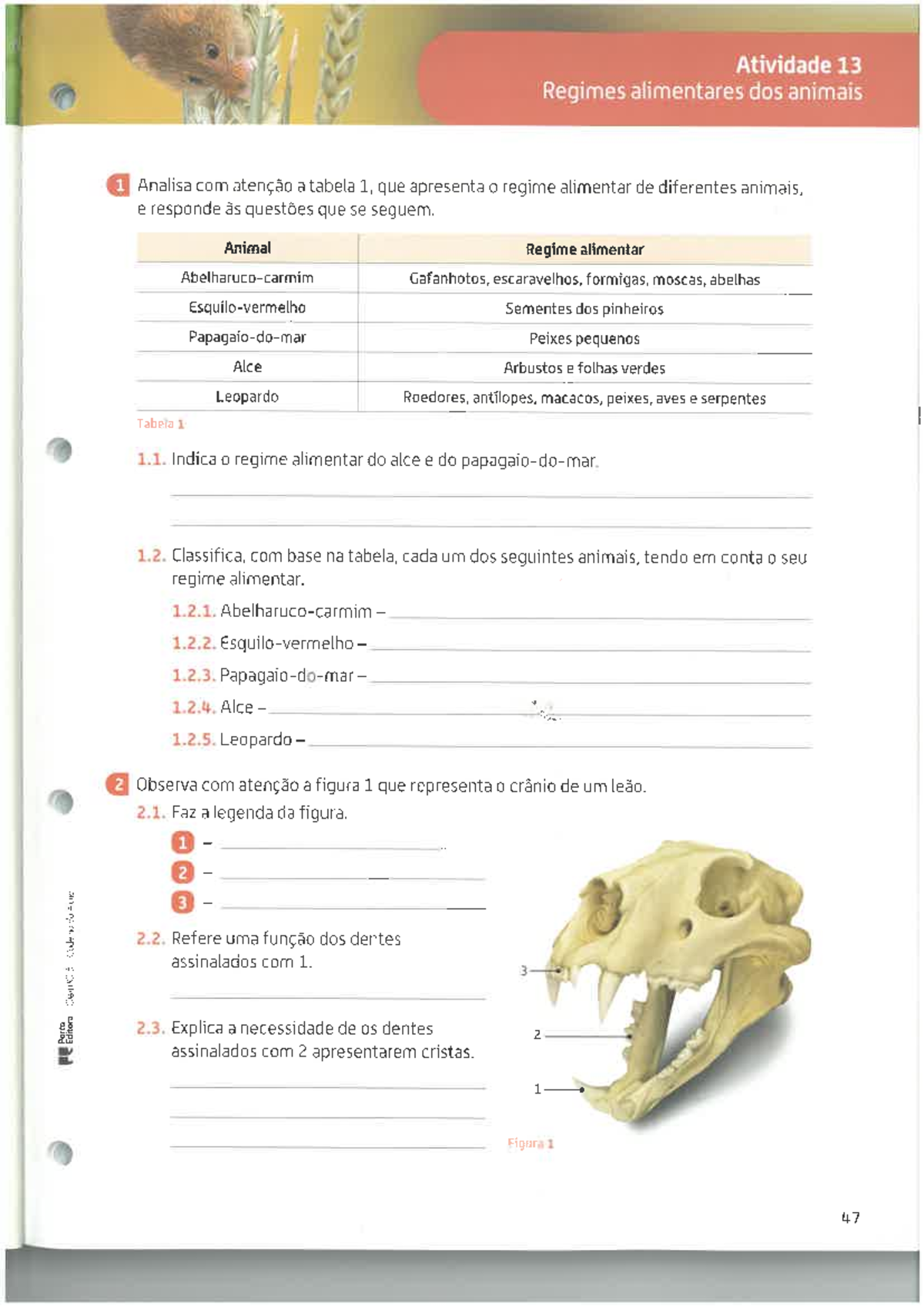 Atividade 13: Regimes Alimentares dos Animais - CTIC5CAL - Studocu