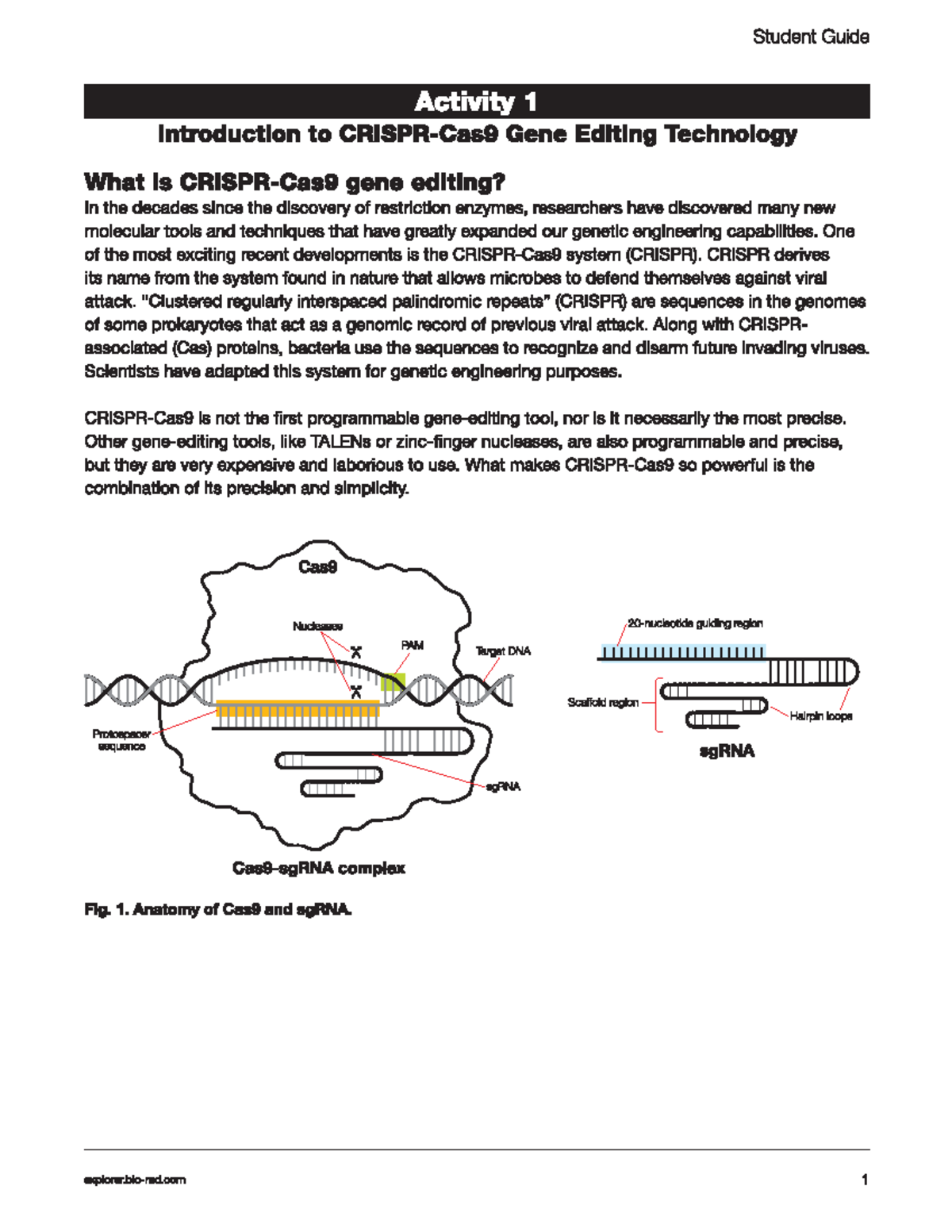 5- Crispr handout 1 c052c583223 f4196fad28551 a829c1b1 - Student Guide ...