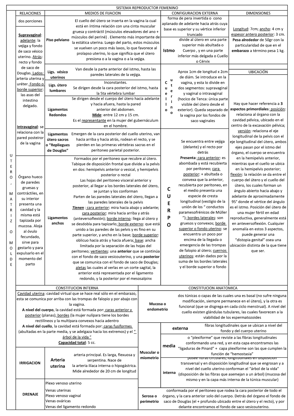 Estudio del Útero: Anatomía y Funciones del Sistema Reproductor ...