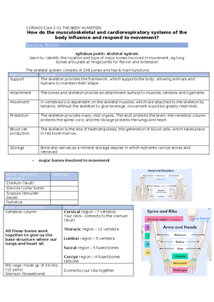 HSC PDHPE Core 2: Factors Affecting Performance Summary Notes - Studocu