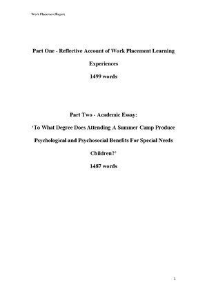 Example Work Placement Report 02 - Work Placement Report Part 1 ...