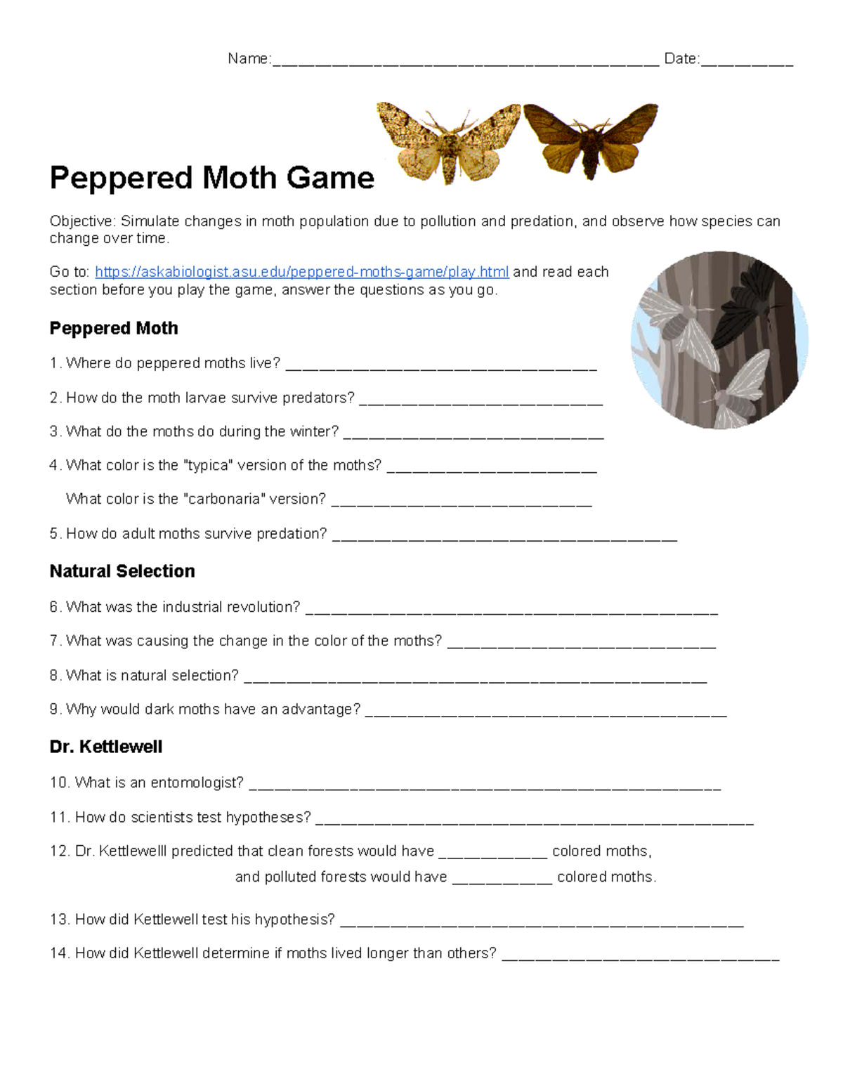 Peppered Moth Game: Natural Selection & Evolution Simulation - Studocu