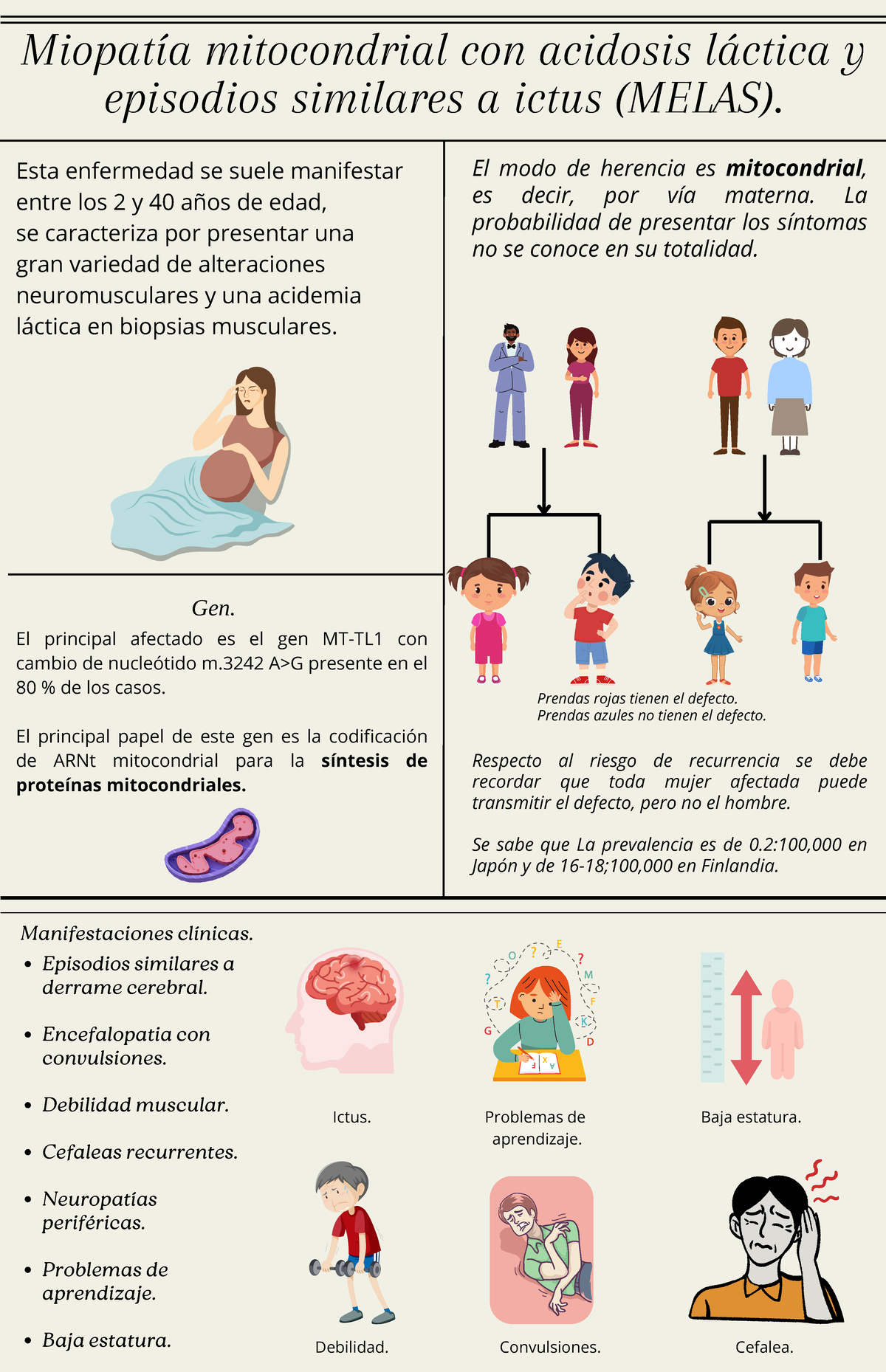 Melas - infografía que resumen de dicha enfermedad - Miopatía ...