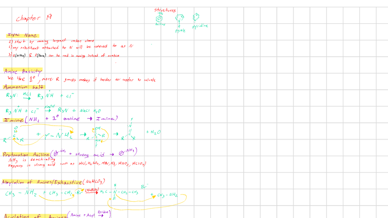 Chapter 19 - Structures and Amine Chemistry Notes - Studocu
