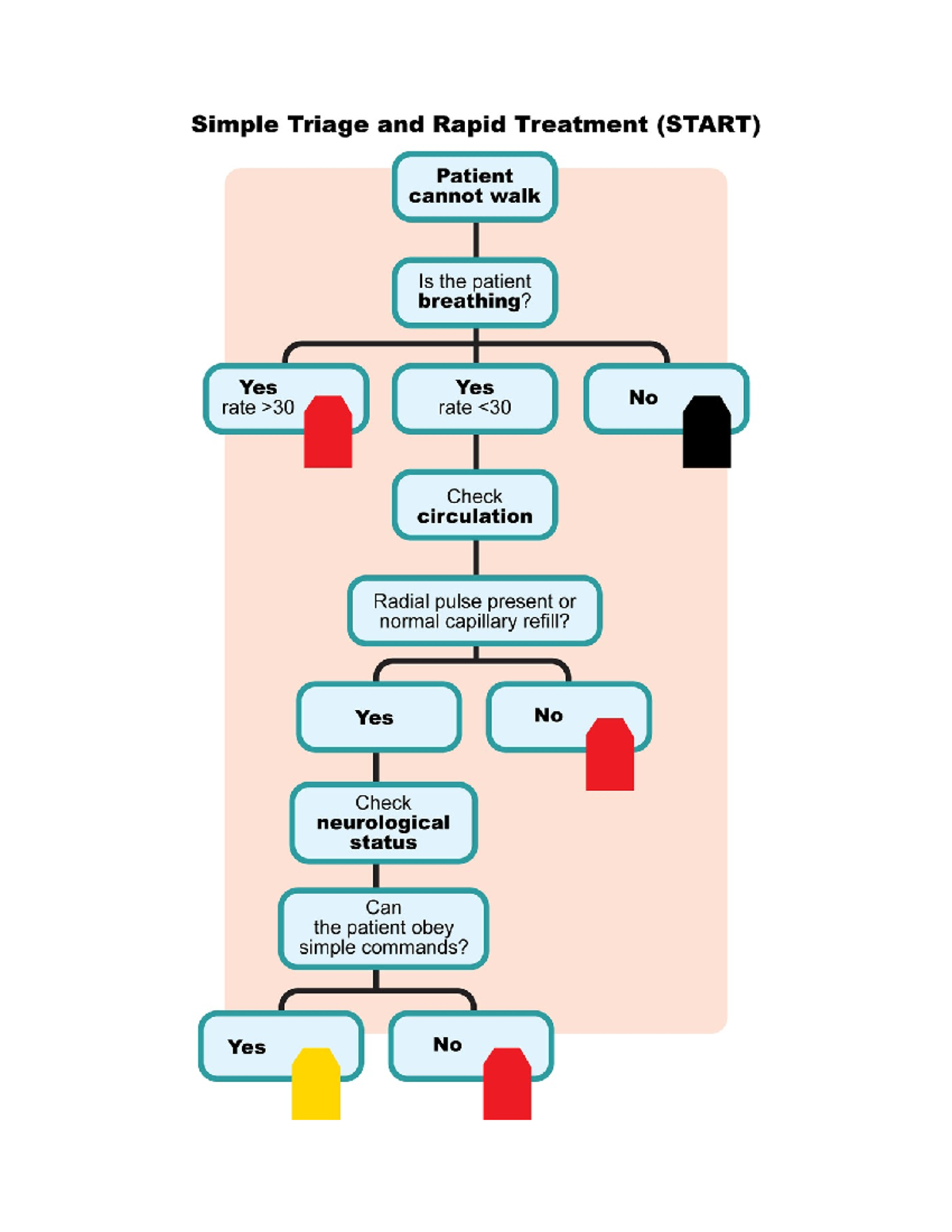 NR 442 Disaster Triage Nursing NCLEX Practice Questions - Studocu