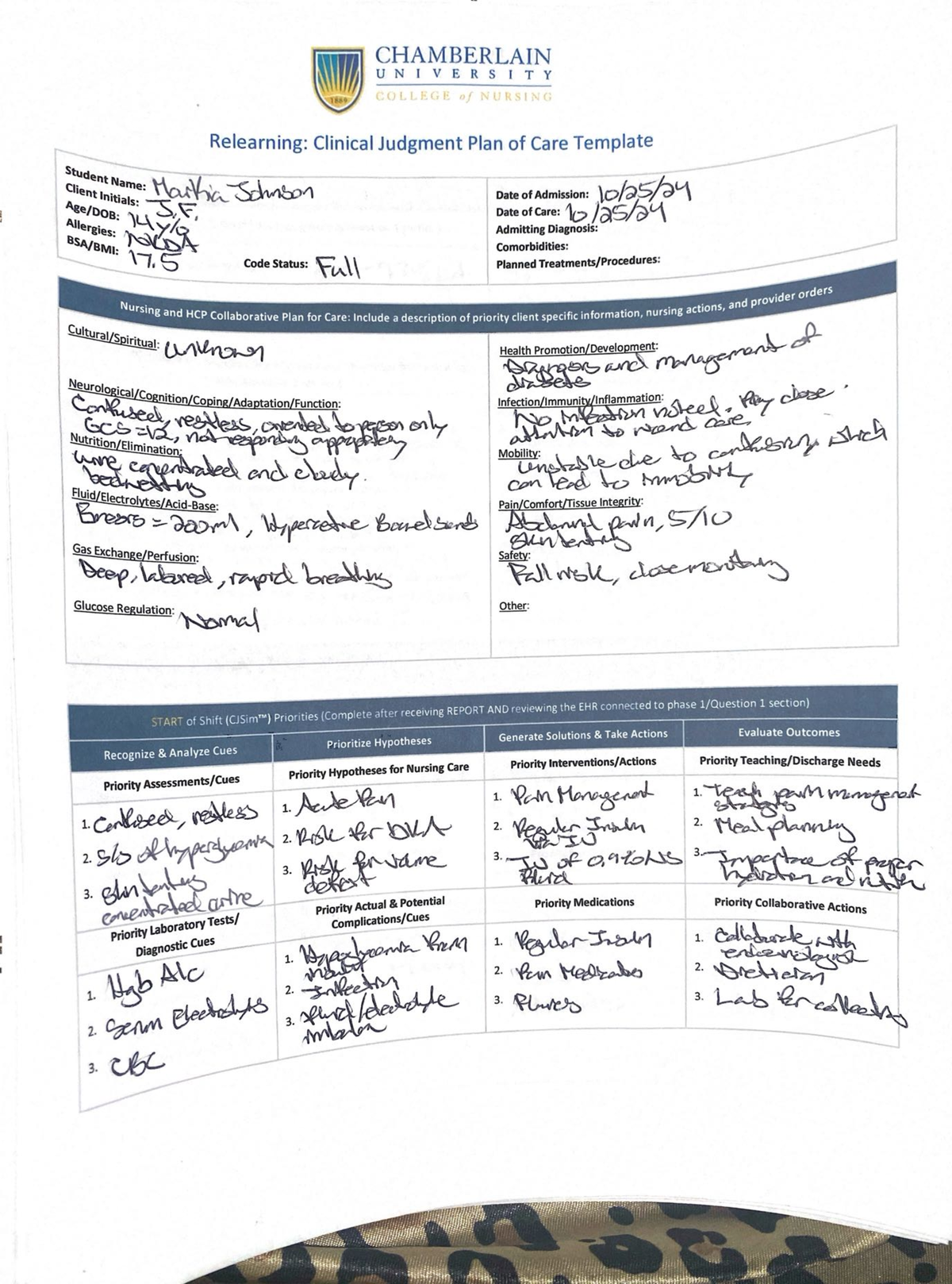 NR 328 Clinical Judgment Exam Plan of Care Template for Nursing - Studocu