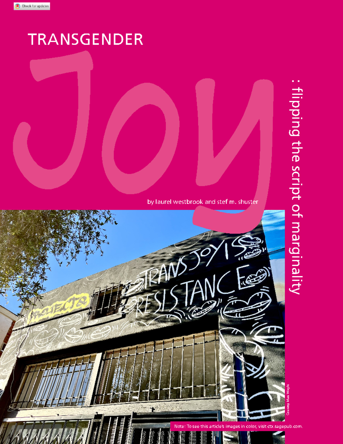 Transgender Joy: Exploring Resilience and Community in Identity - Studocu