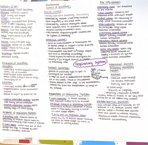 [Solved] What are the impacts on a sports event if the organiser didnt ...