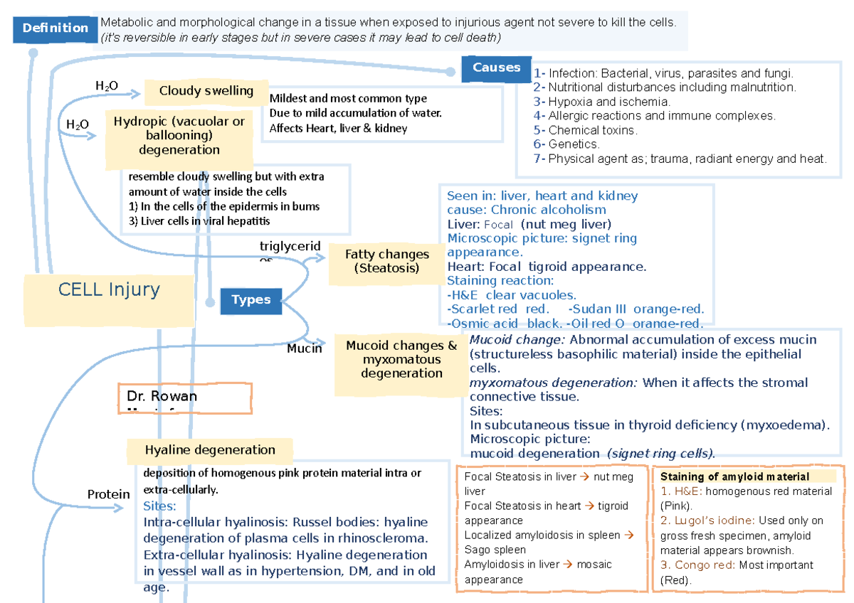 Cell injury - CELL Injury Mildest and most common type Due to mild ...