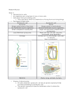 BIO 130 Lab - DNA Isolation - BIO 130 Lab Manual - DNA Isolation Mash ...