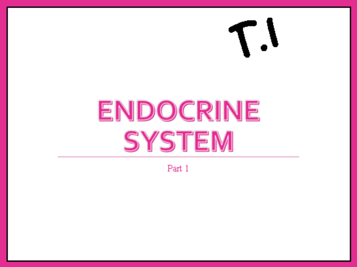Student Endocrine System PPT 1 - Part 1 T. ####### Contact Information ...