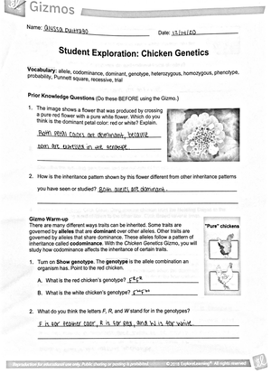 Vertebrate Tissues and Body Organization - Biology 101 Lecture Notes ...