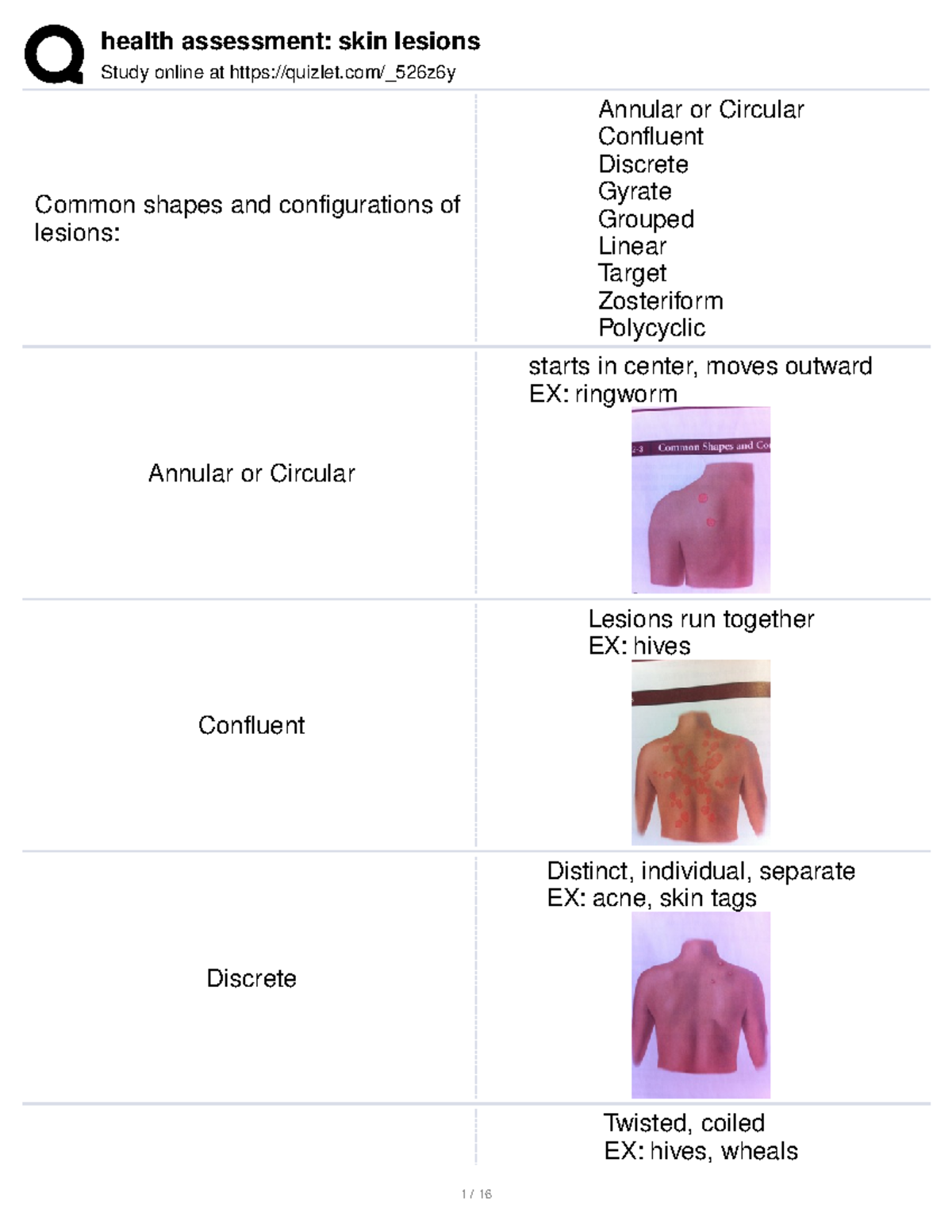 Skin Lesions - Summary & Key Notes for Dermatology Studies - Studocu