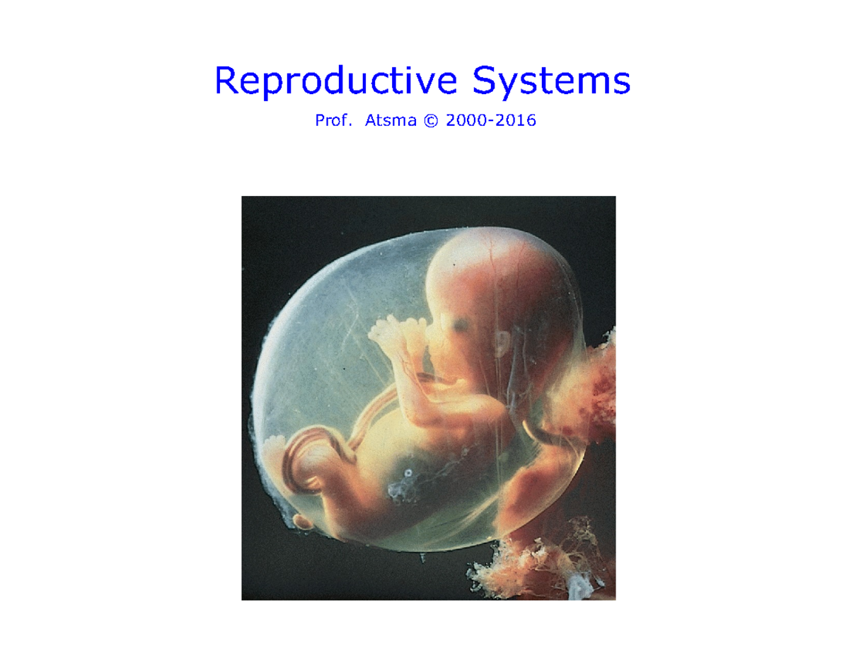 Reproductive Systems Overview: Fertilization to Labor Insights - Studocu