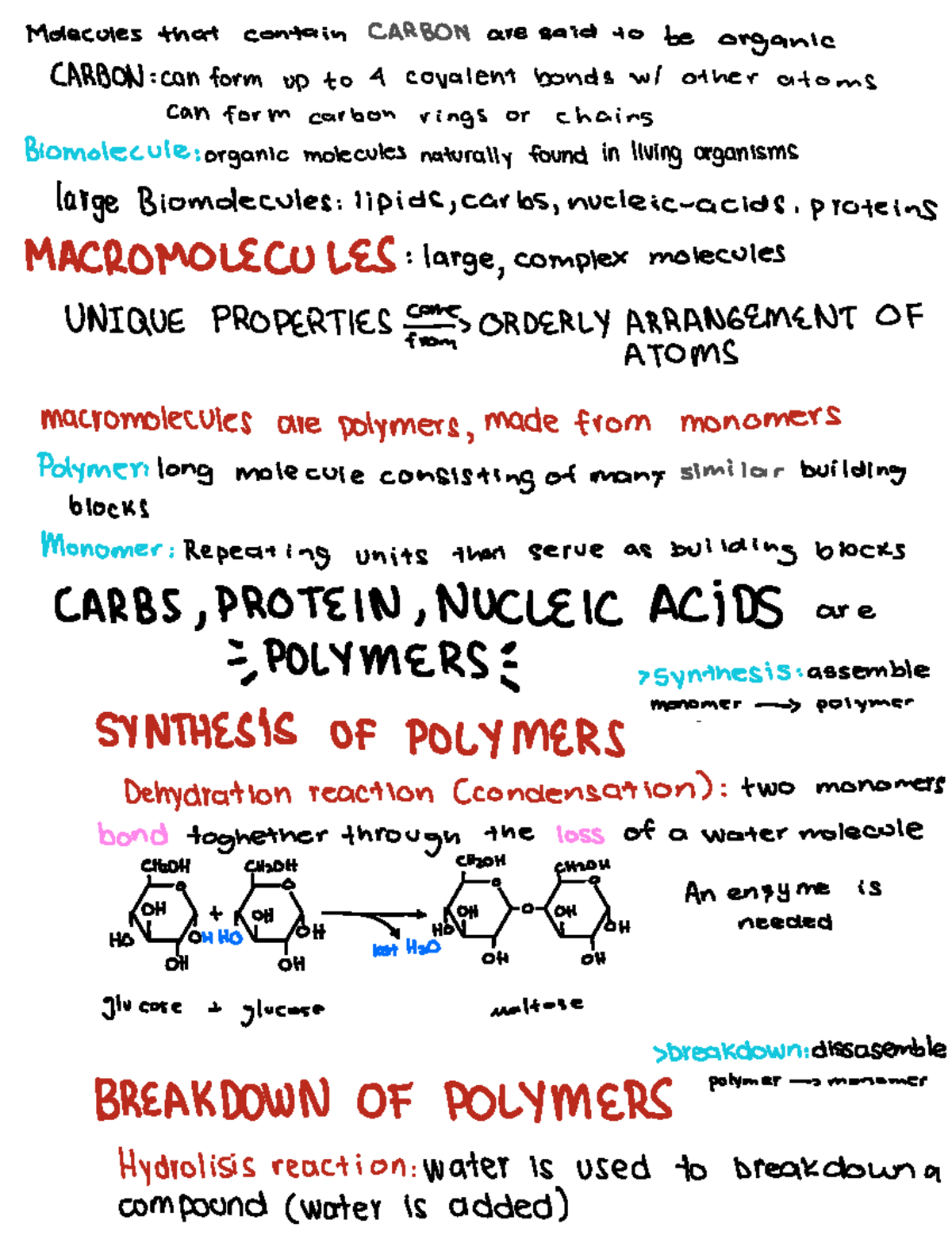 Macromolecules and Their Unique Properties: AP BIO Notes - Studocu