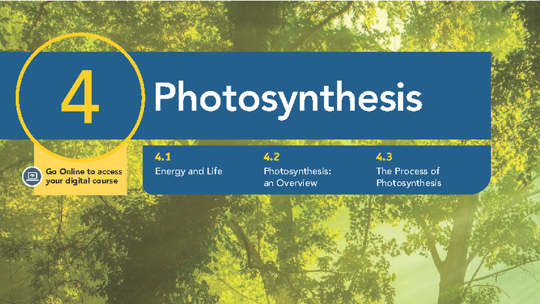 Chapter 4: Photosynthesis - Energy, Life, and Artificial Leaves ...