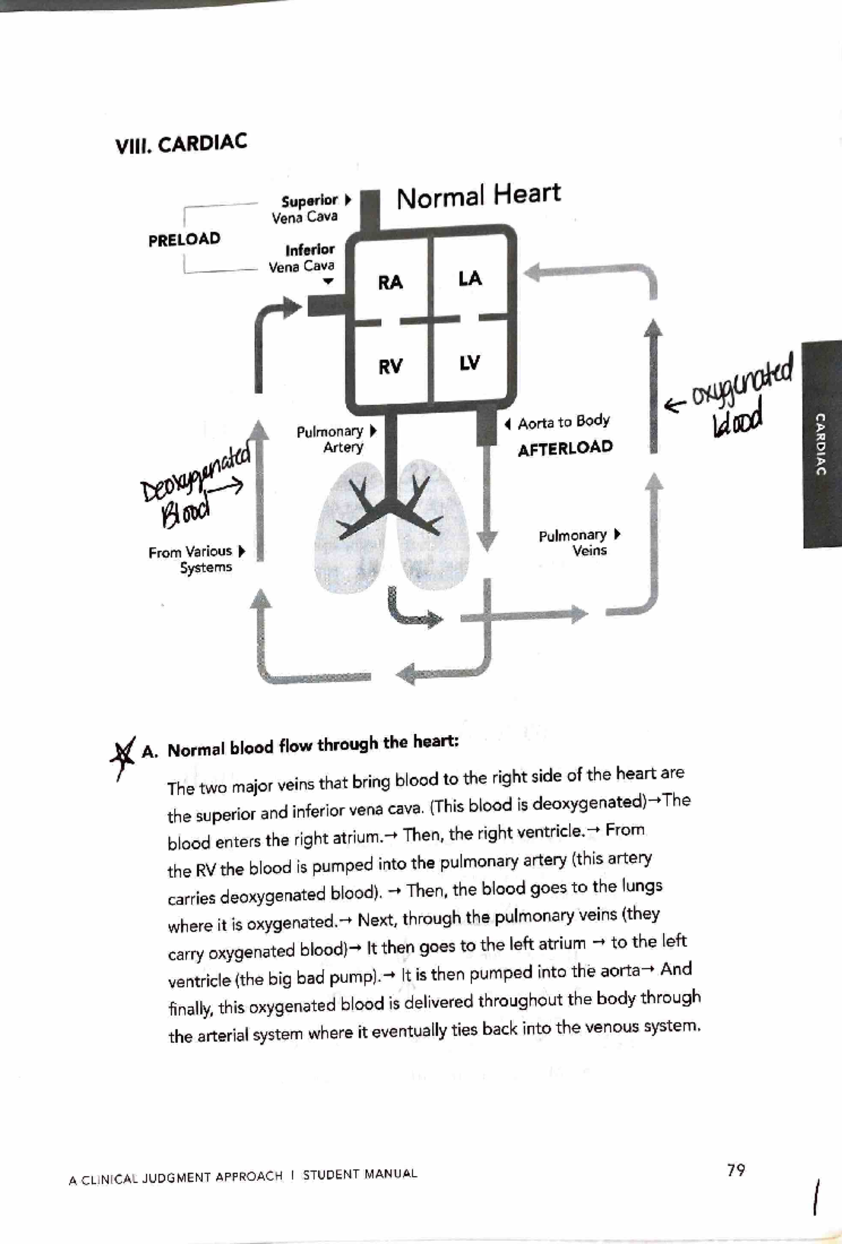 Cardiac Hurst Notes: Key Concepts and Insights for Study - Studocu