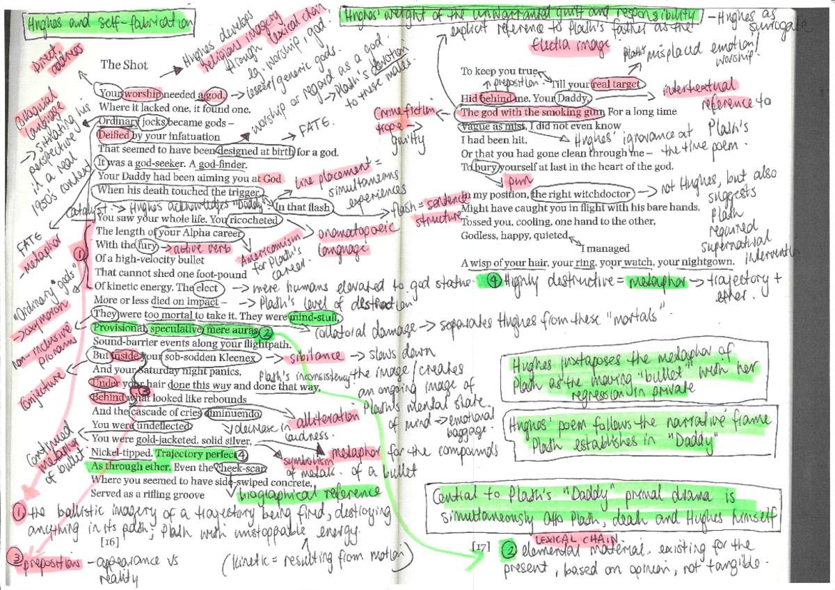 Annotated Analysis of "The Shot" by Ted Hughes - Studocu