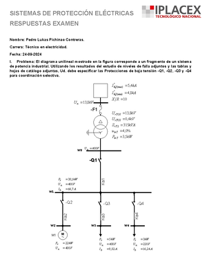 Pedro Pichinao Examen - SISTEMAS DE PUESTAS A TIERRA RESPUESTAS EXAMEN Nombre: Pedro Lukas ...