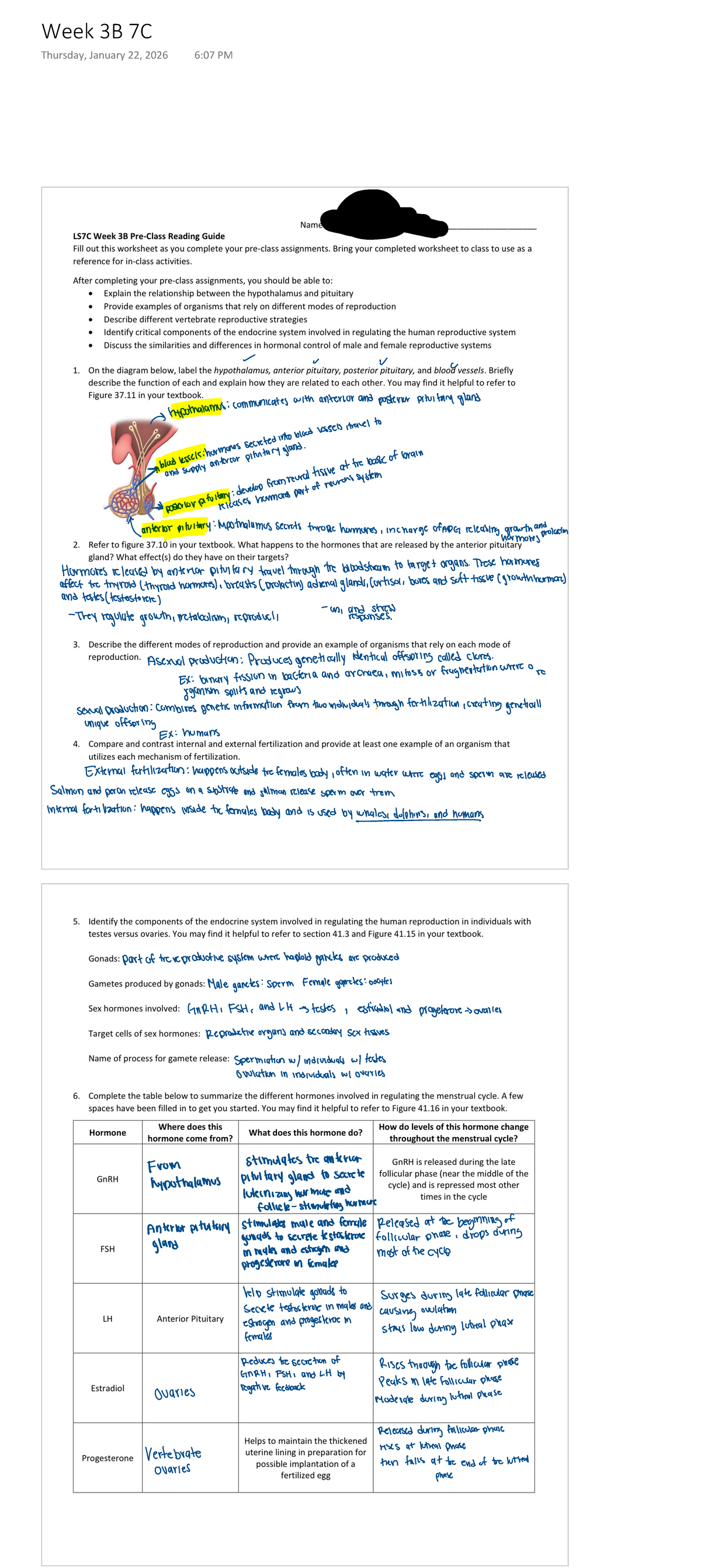 LS7C Week 3B Reading Guide: Endocrine & Reproductive Systems - Studocu
