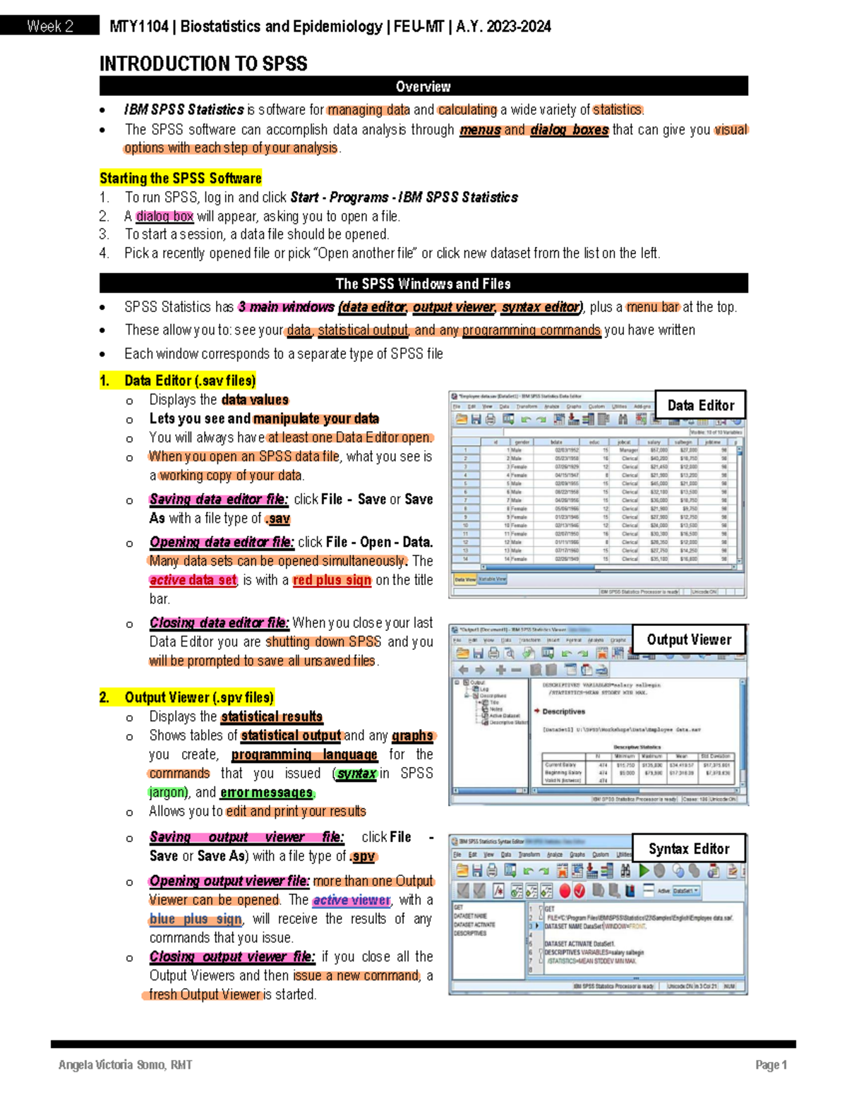 MTY1104 Lab Week 2: Intro to SPSS Overview and Functions - Studocu