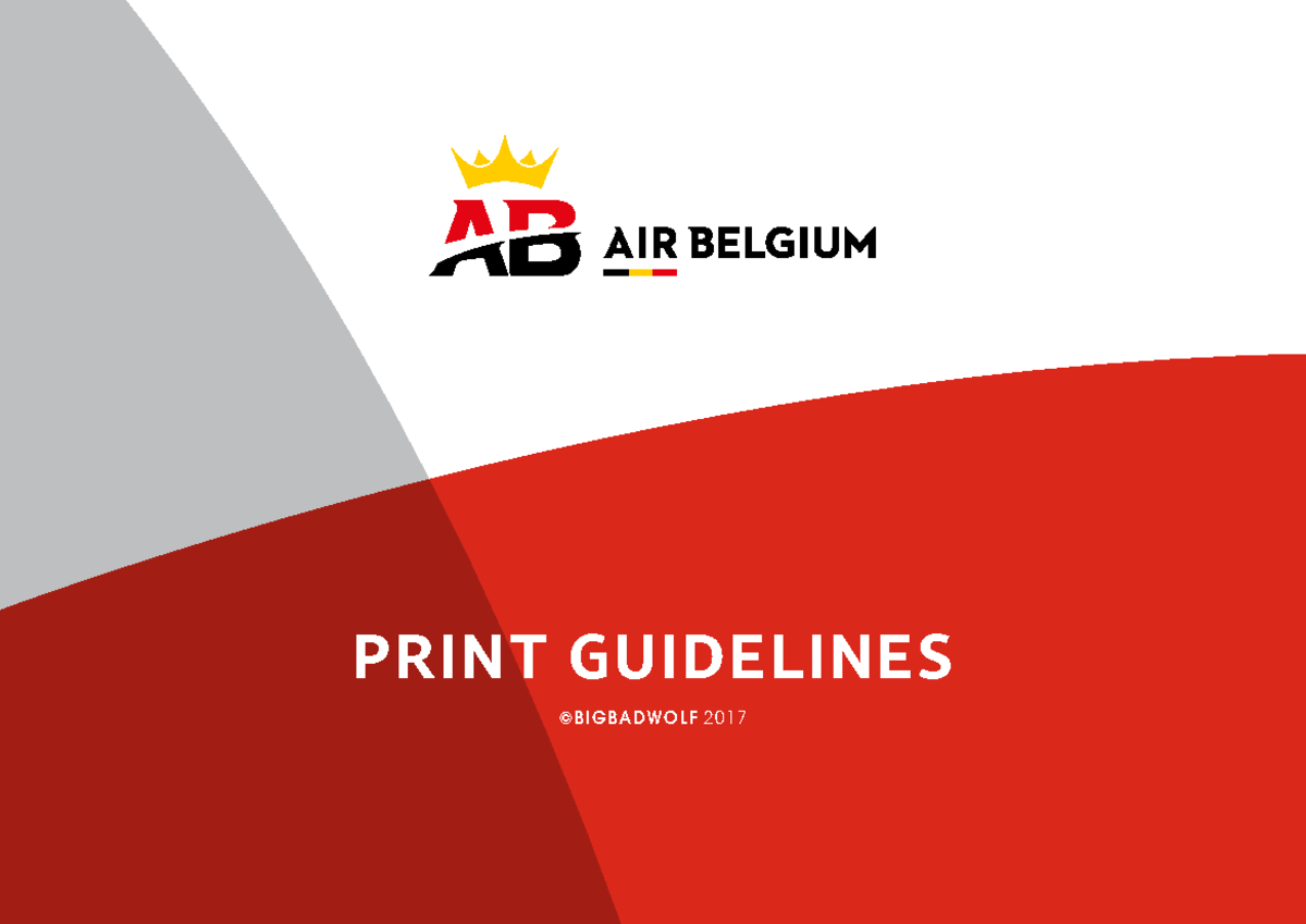 AB Print Guidelines: Logo Typography & Usage Rules - Studeersnel