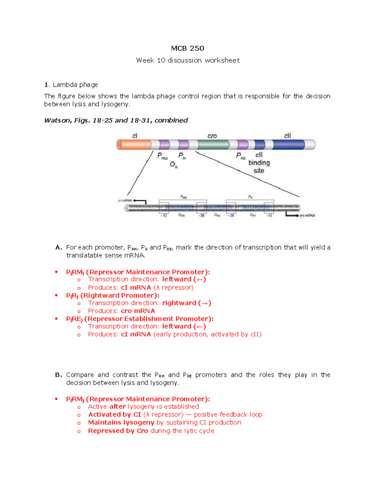 MCB 250 Week 10 Discussion Worksheet: Lambda Phage & Gene Regulation ...