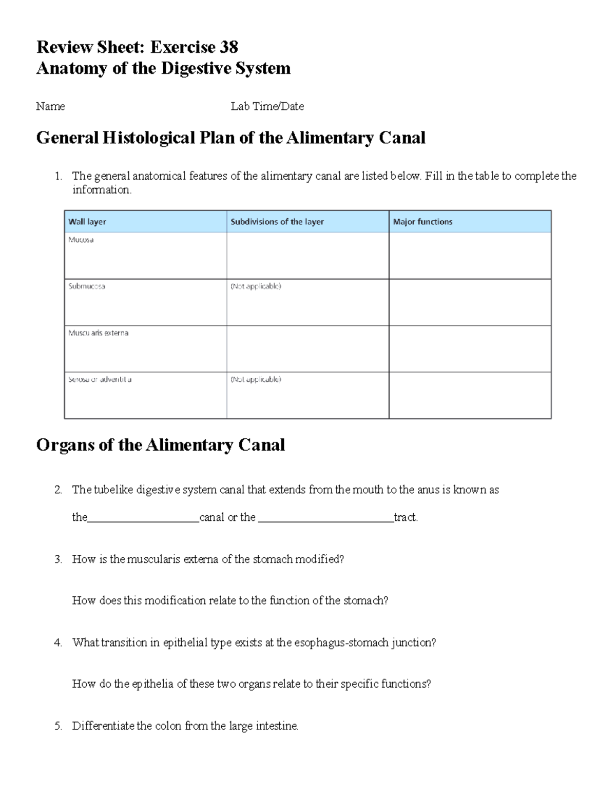 Review Sheet Exercise 38 Anatomy Of The Digestive System Editing