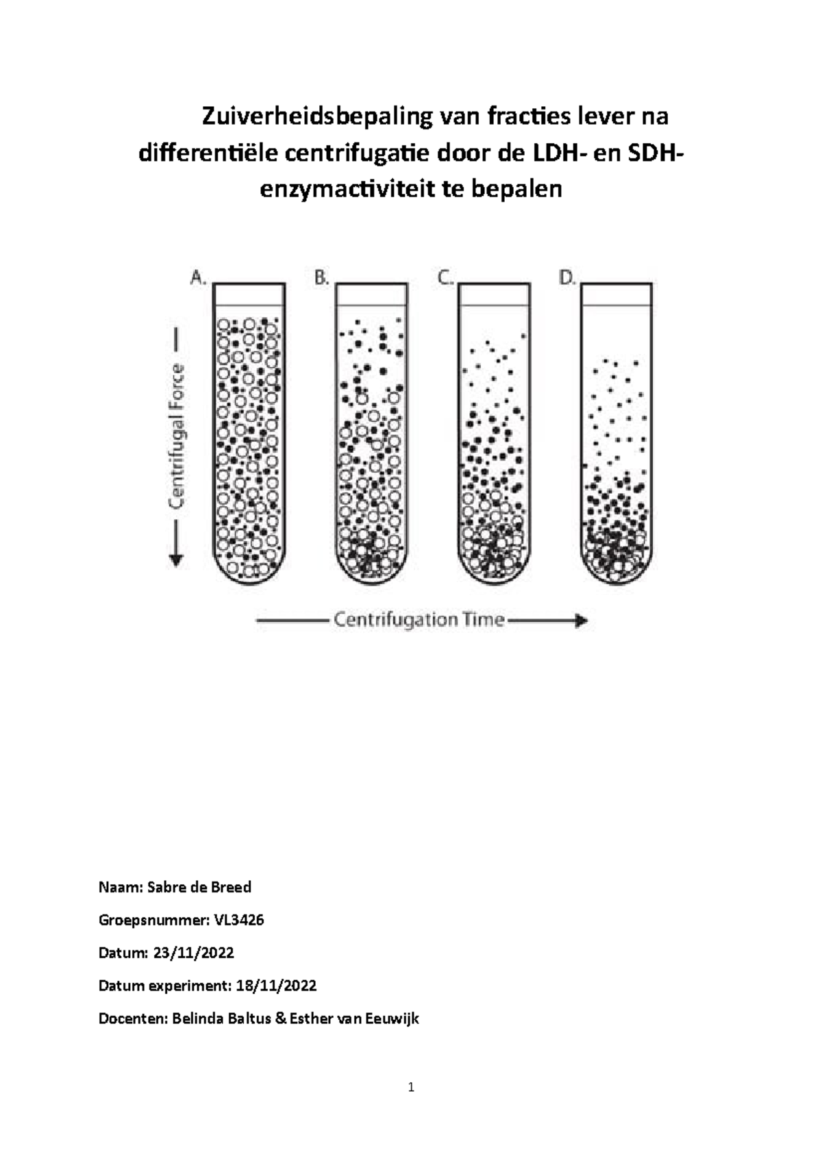 Practicumverslag: Celfractionering met Differentiele Centrifugatie ...