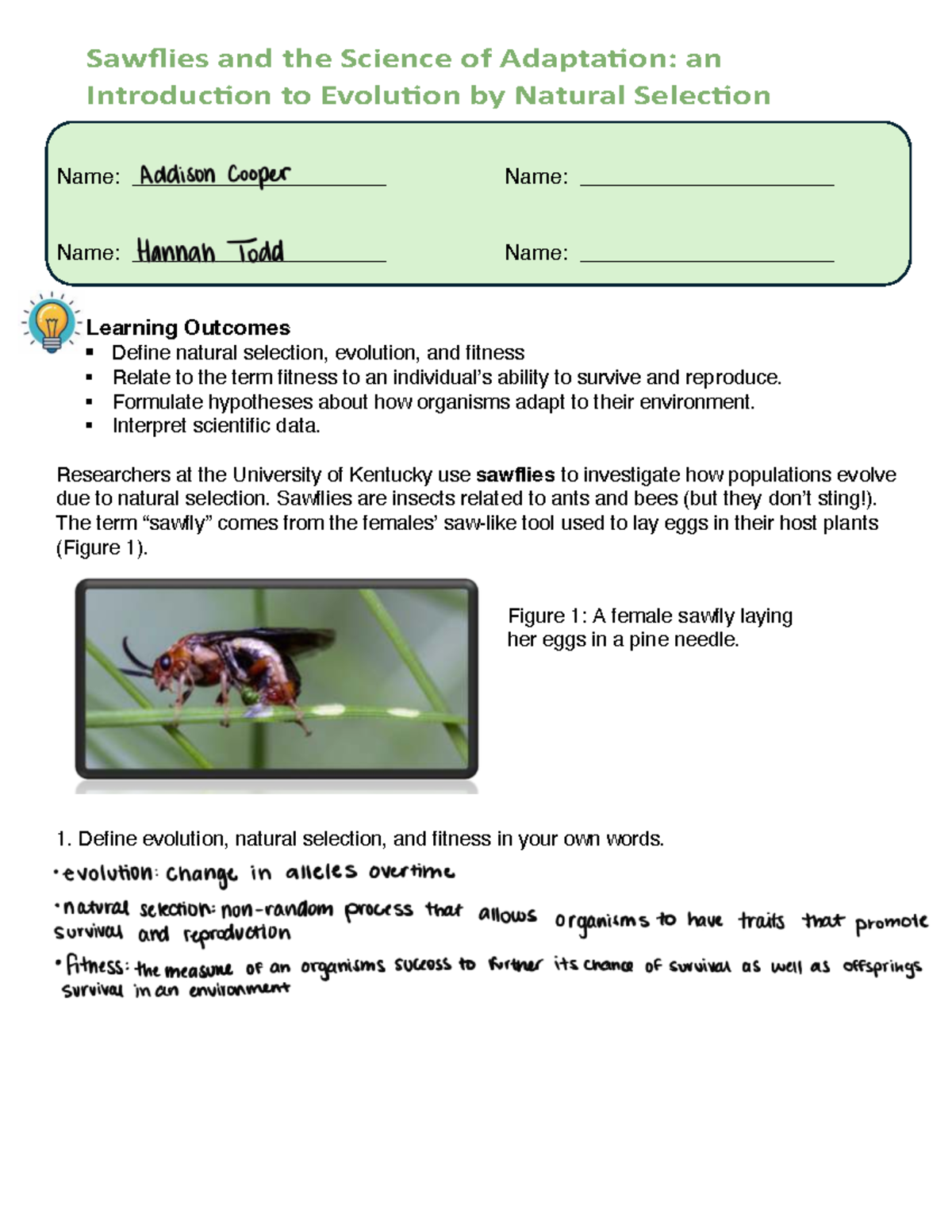 Case Study: Sawfly Evolution and Natural Selection (BIO 101) - Studocu