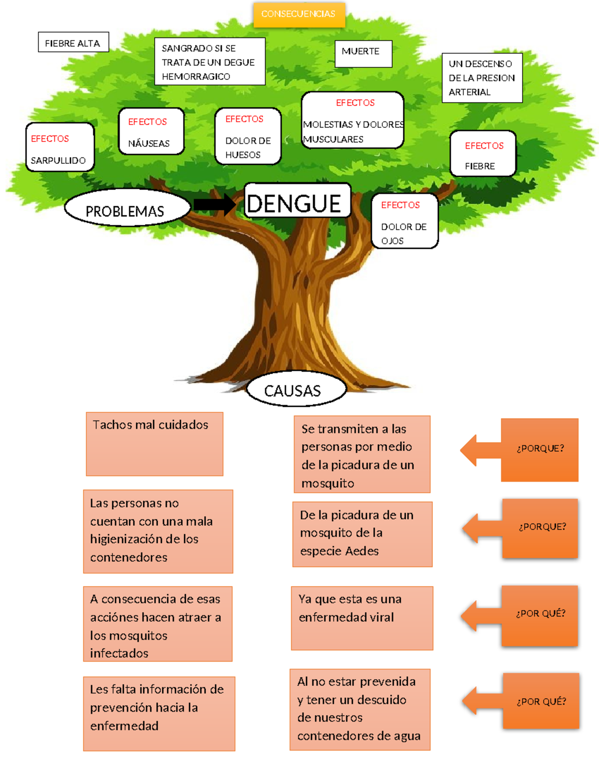 Efectos del Dengue: Causas, Problemas y Consecuencias Detalladas - Studocu