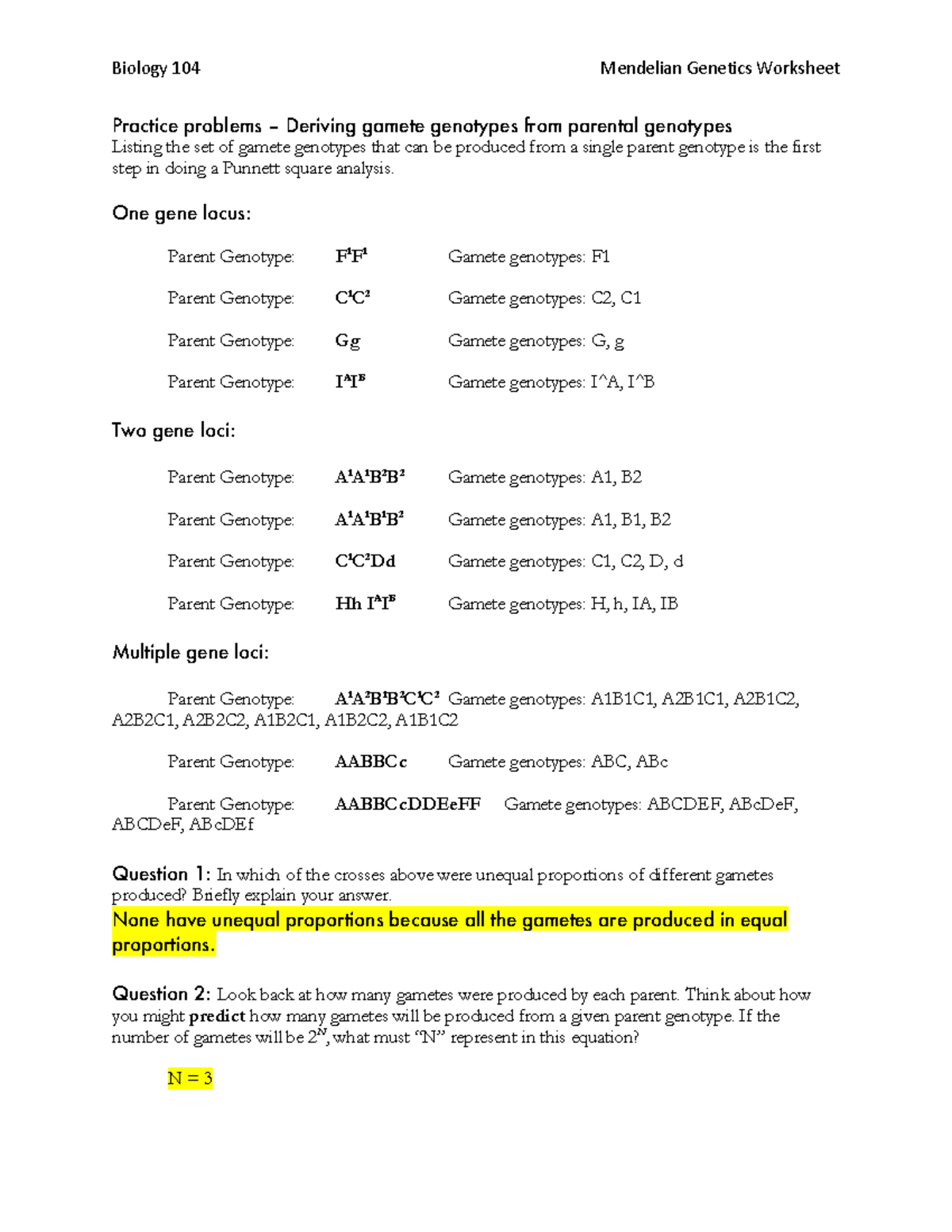 Biology 104 Mendelian Genetics Worksheet: Gamete Genotype Practice ...