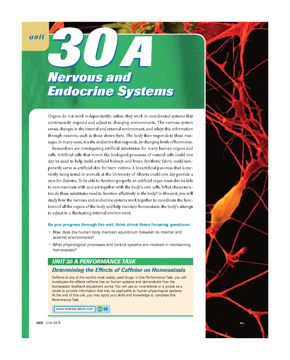 Ch 13_Bio_Alberta30: Nervous and Endocrine Systems Overview and ...