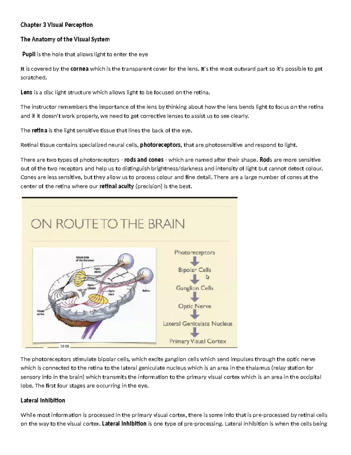Chapter 3: Visual Perception Notes on the Anatomy of the Visual System ...