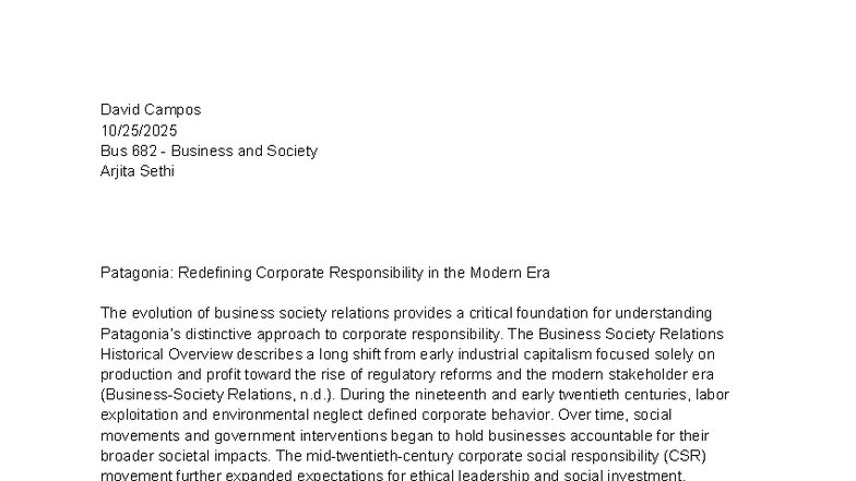 Patagonia Case Study Analysis: Redefining CSR in BUS 682 - Studocu