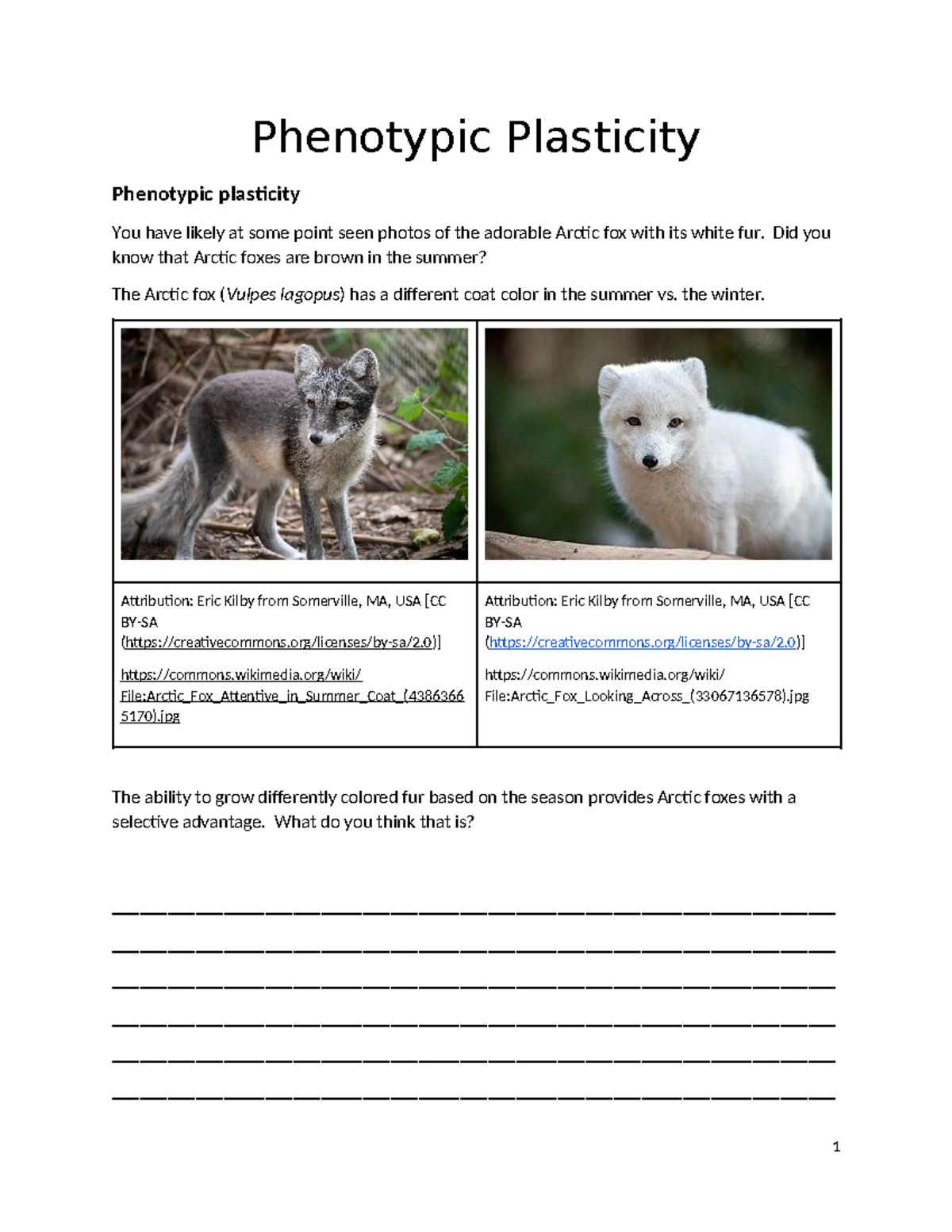Biology 101: Understanding Phenotypic Plasticity in Organisms - Studocu
