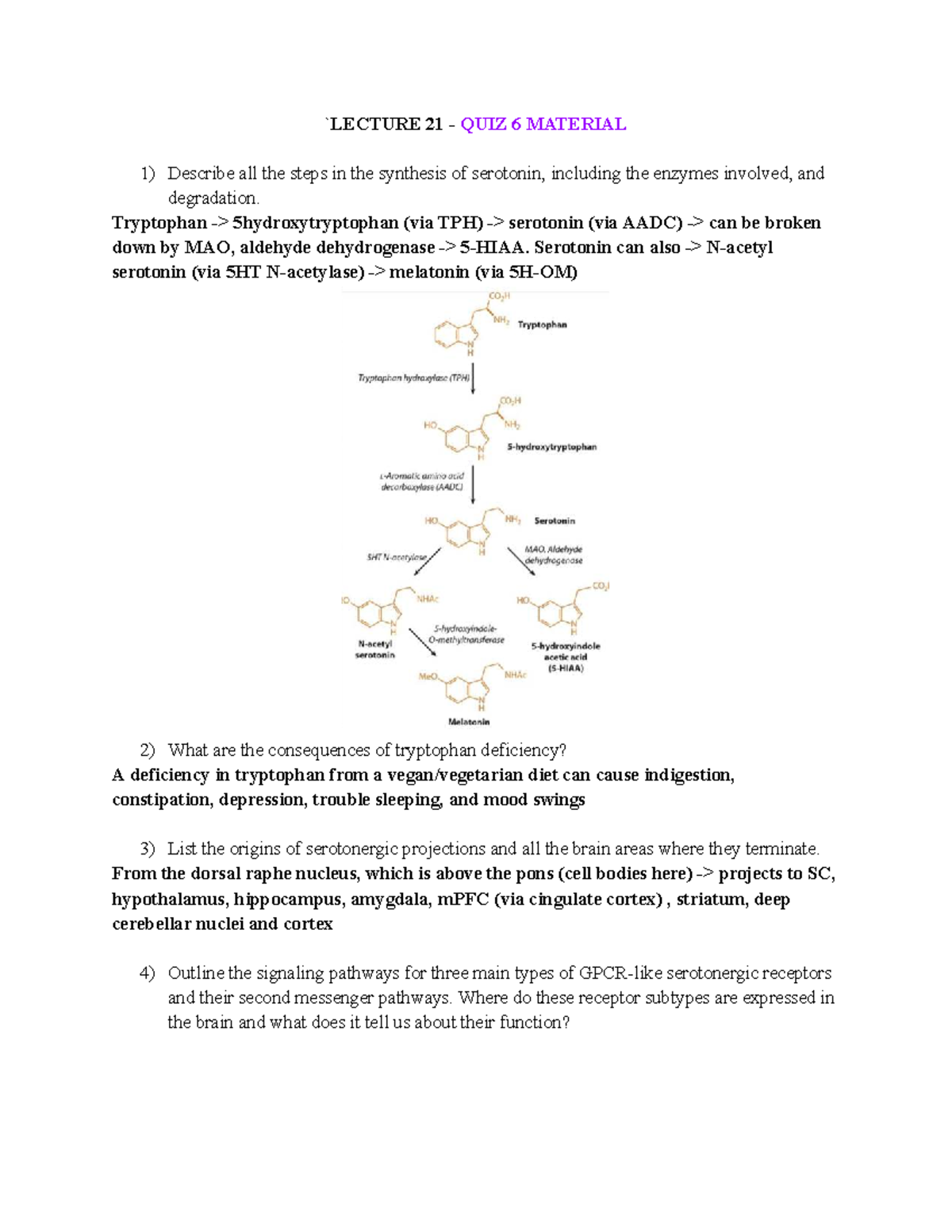 445 SQ FOR EXAM 3 - Study Questions from Lectures on Neurotransmission ...