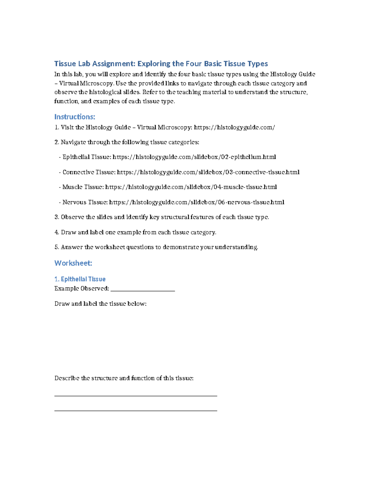 Tissue Lab Assignment: Identifying Four Basic Tissue Types - Studocu