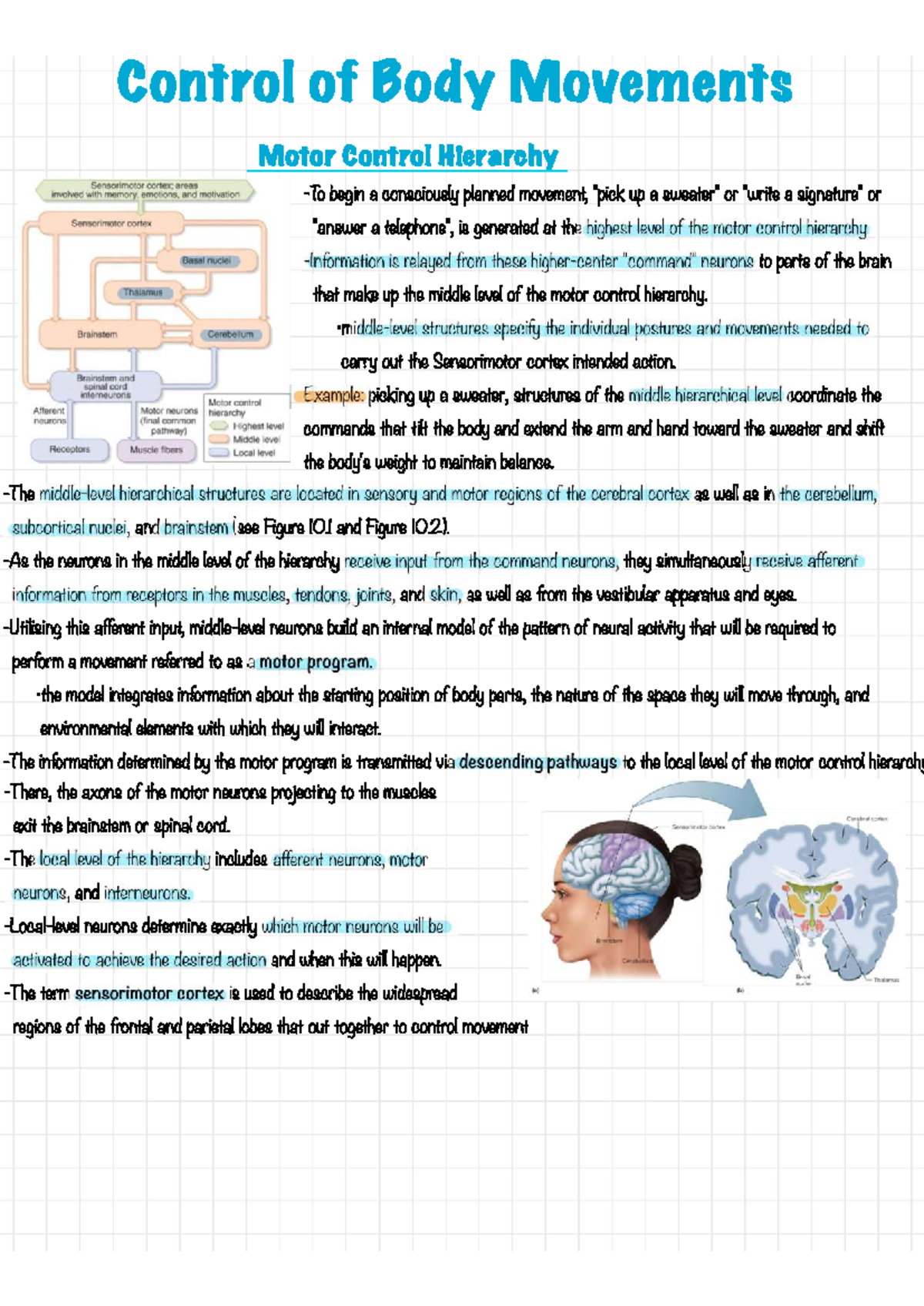FLGX 123 Lecture Notes: Motor Control Hierarchy and Body Movements ...