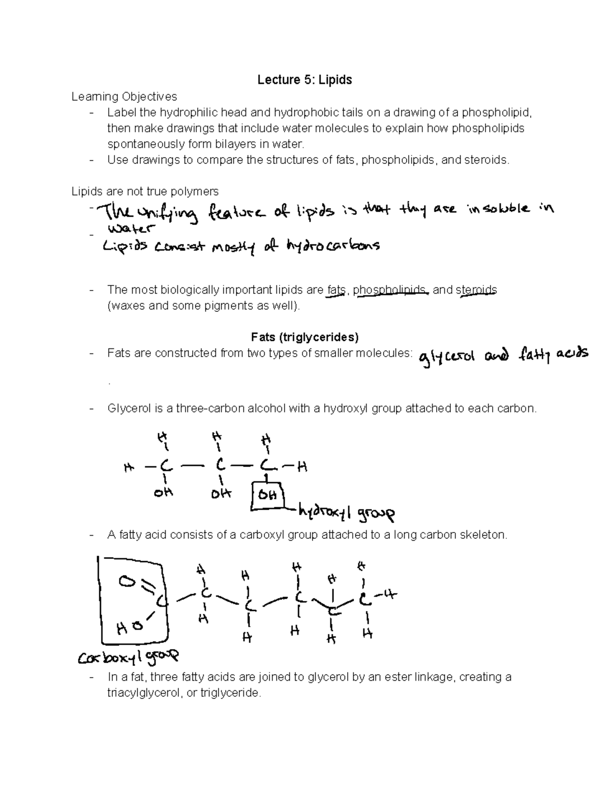 Lecture 5 Understanding Lipids Structures Functions And Types Lecture 5 Lipids Learning