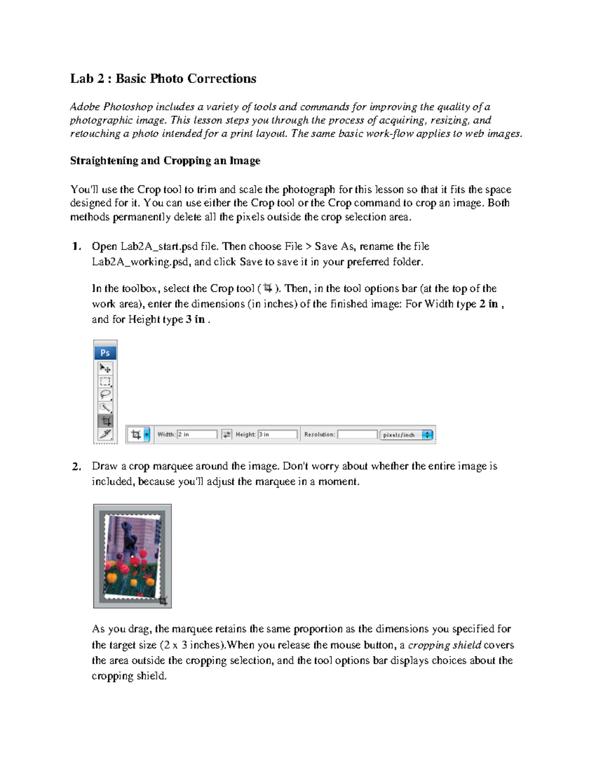Lab 2: Essential Techniques for Basic Photo Corrections in Photoshop - Studocu