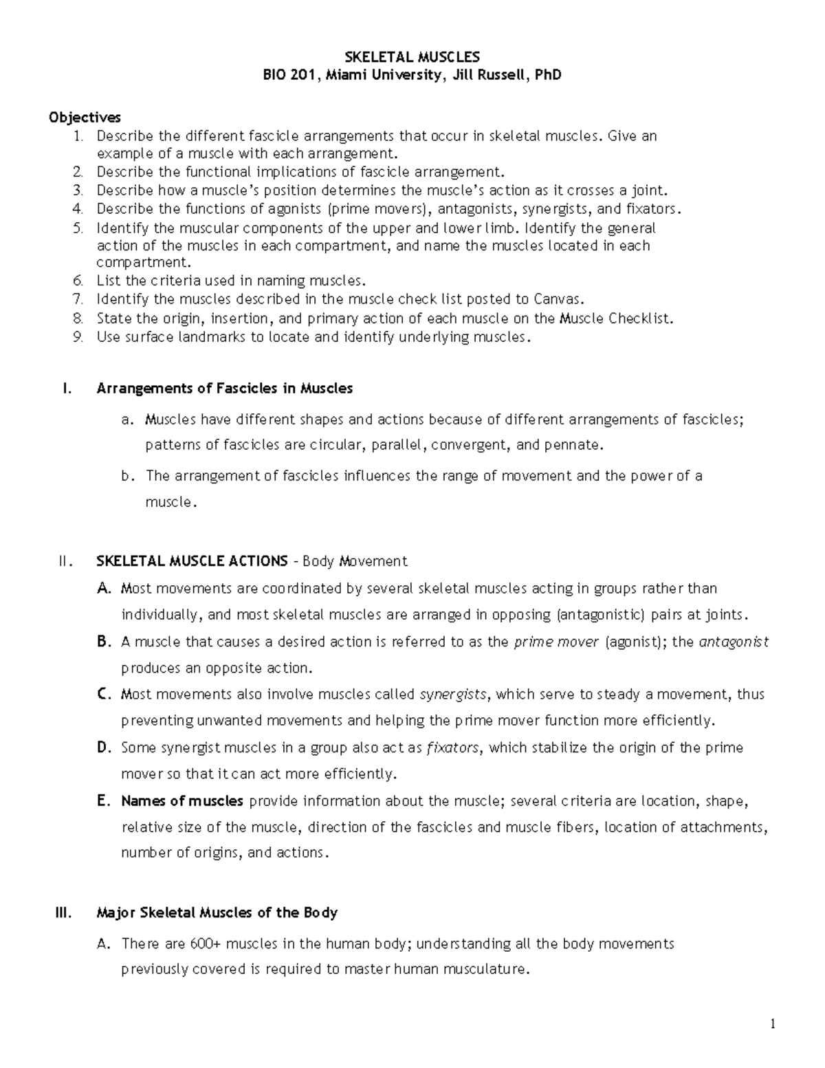Muscle Anatomy and Actions: Comprehensive Notes for BIO 201 - Studocu