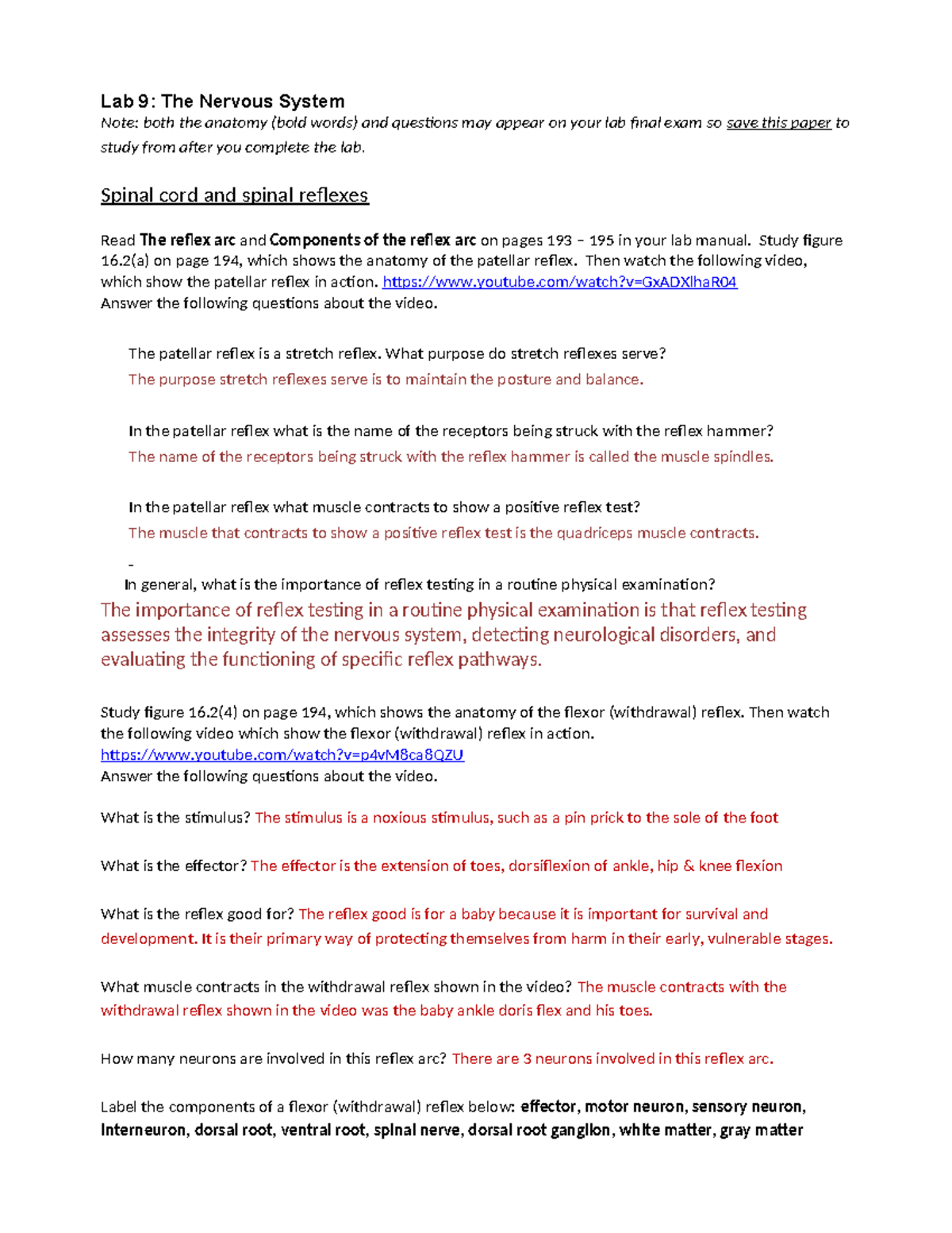 Lab 9: Nervous System Anatomy & Reflexes Study Guide (BIOL 101) - Studocu