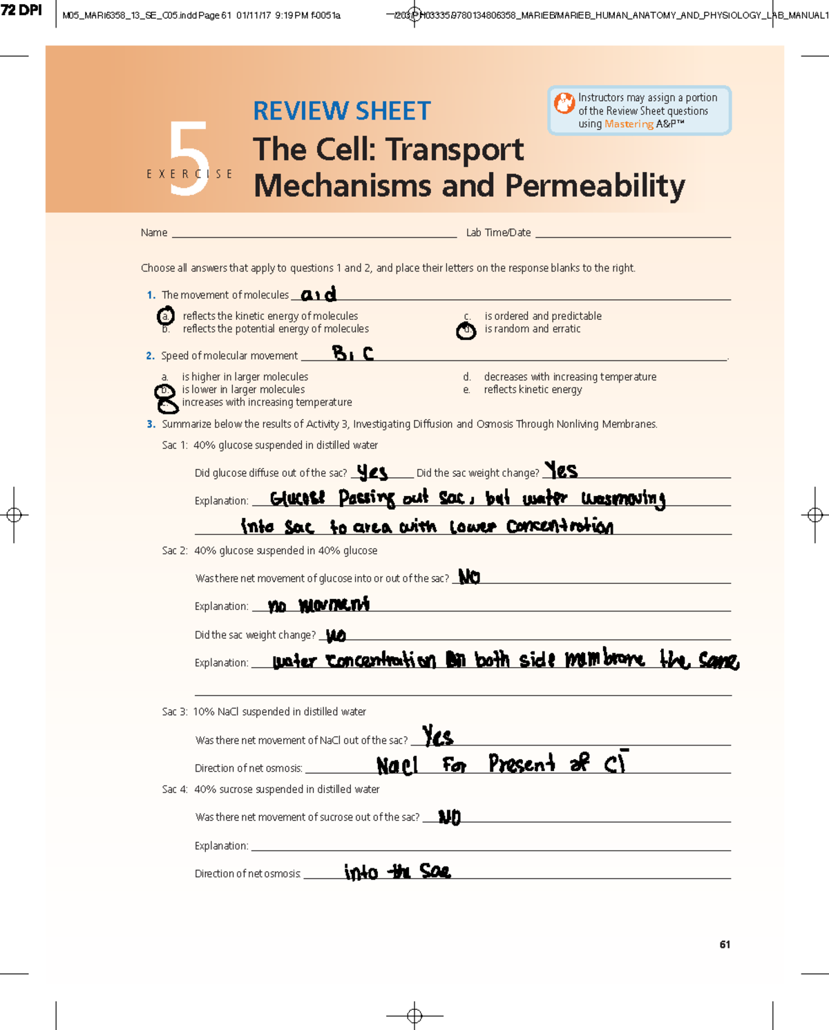 Exercise 5 Review Sheet: Mechanisms of Cell Transport - Studocu