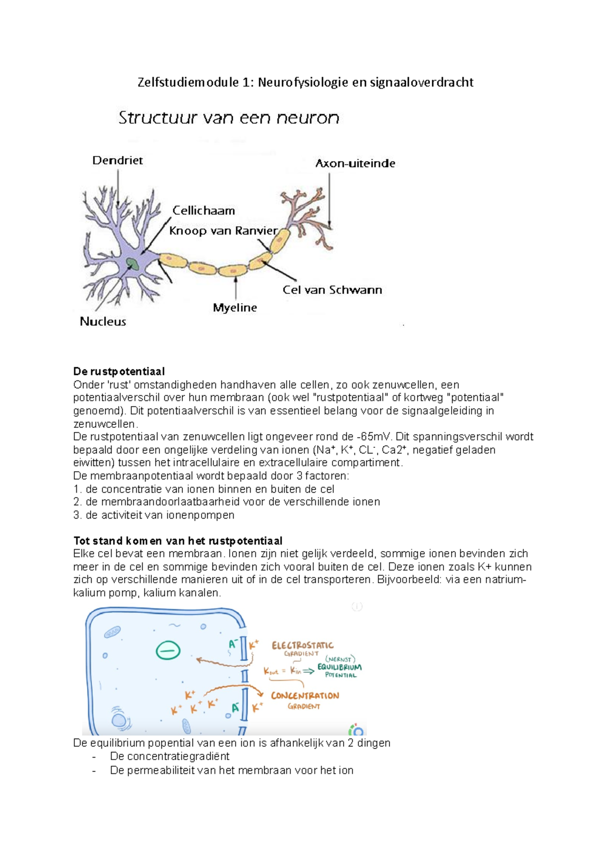 Zelfstudiemodule 1: Neurofysiologie, Rustpotentiaal en Actiepotentialen ...