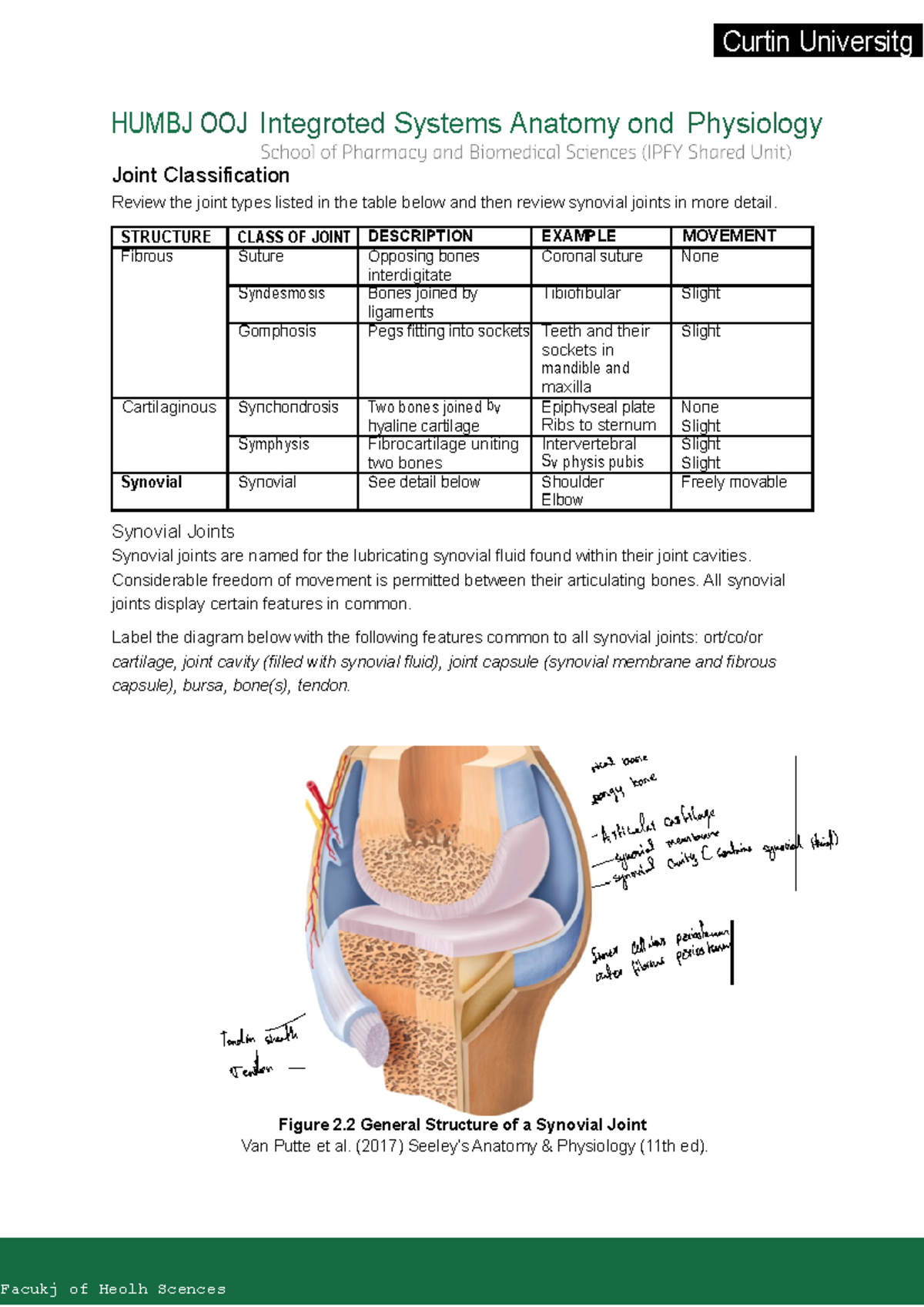Module 2 Lab Notes: HUMB1001 - Integrated Systems Anatomy & Physiology ...