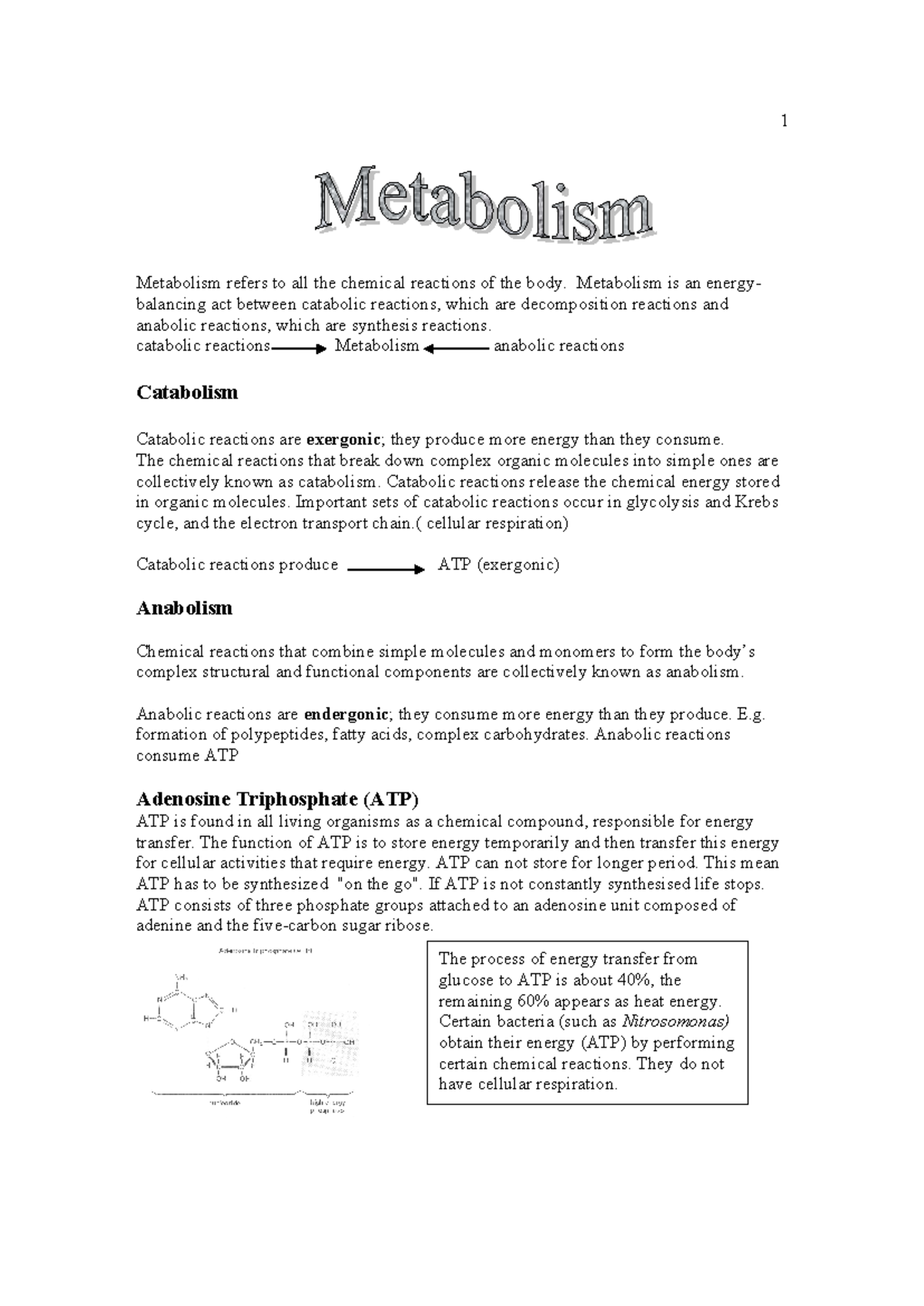 Metabolism 2021 Unit 3 - Metabolism refers to all the chemical ...